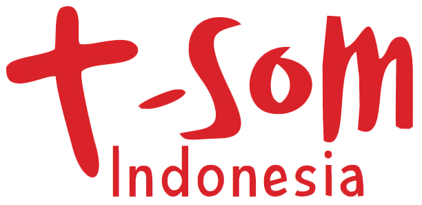 T-SoM – Teens School Of Mission